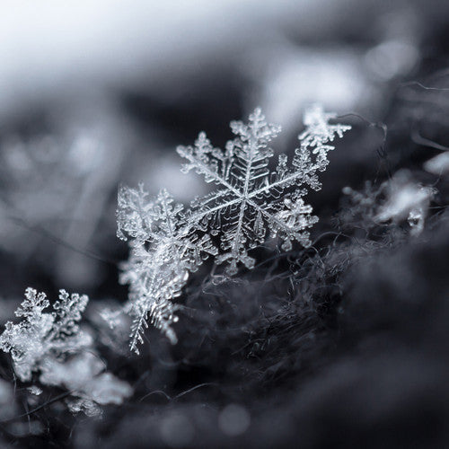 Shimmering Snowflake Fragrance Oil - Fragrance Oils - for Soap & Candle ...